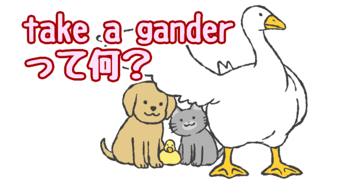 take a gander は ｢ガチョウを取る｣ じゃない？ goose と gander の違い: えいごな英語